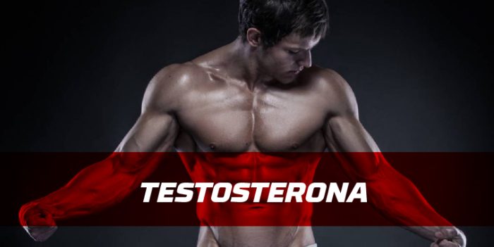 TODO LO QUE NECESITAS SABER SOBRE LA TESTOSTERONA - Medicfit